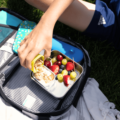 Trailblazer Sandwich Box